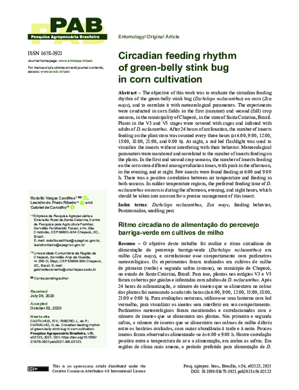(PDF) Circadian feeding rhythm of green-belly stink bug in corn cultivation