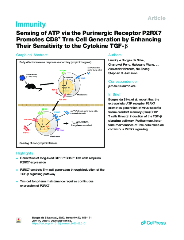 (PDF) Sensing of ATP via the Purinergic Receptor P2RX7 Promotes CD8 ...