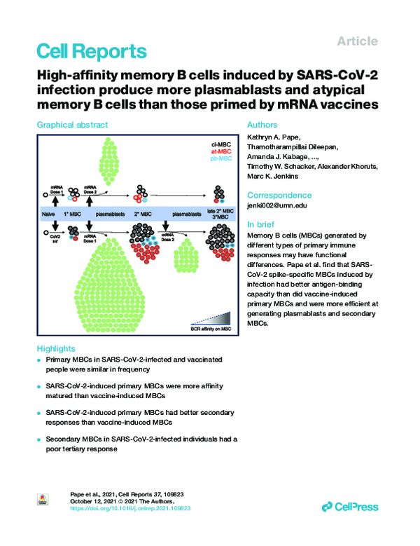 (PDF) High-affinity memory B cells induced by SARS-CoV-2 infection ...