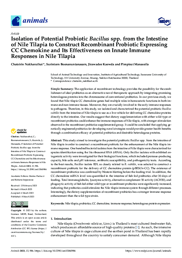 (PDF) Isolation of Potential Probiotic Bacillus spp. from the Intestine ...