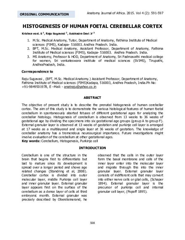 (PDF) Histogenesis of human foetal cerebellar cortex