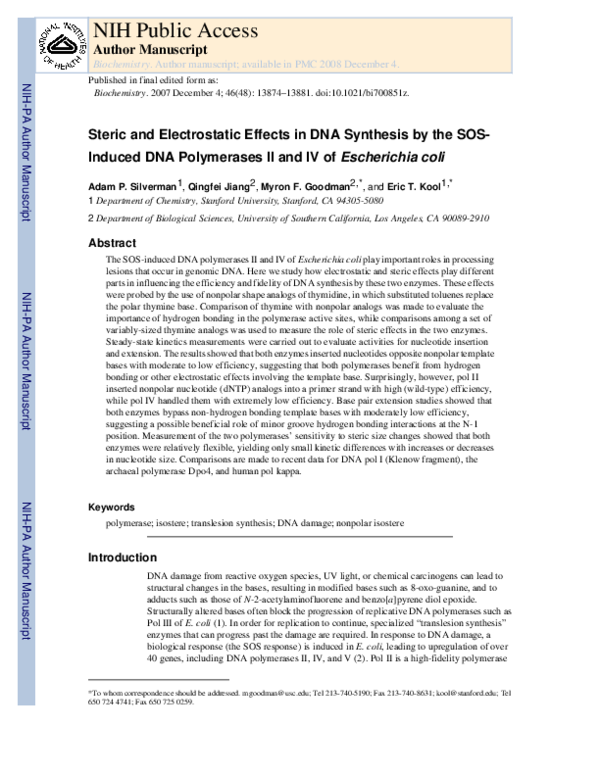 (PDF) Steric and Electrostatic Effects in DNA Synthesis by the SOS ...