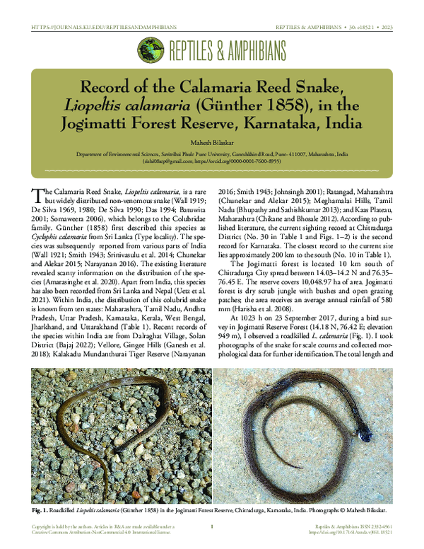 (PDF) Record of the Calamaria Reed Snake Liopeltis calamaria (Günther ...