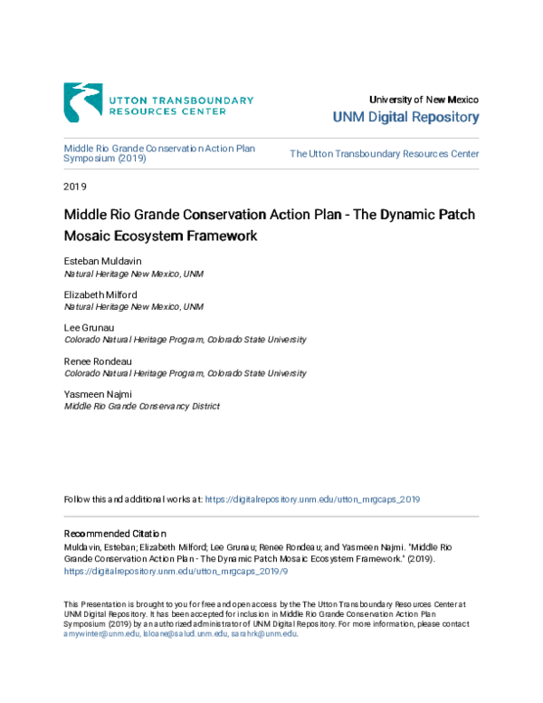 (PDF) Middle Rio Grande Conservation Action Plan - The Dynamic Patch ...