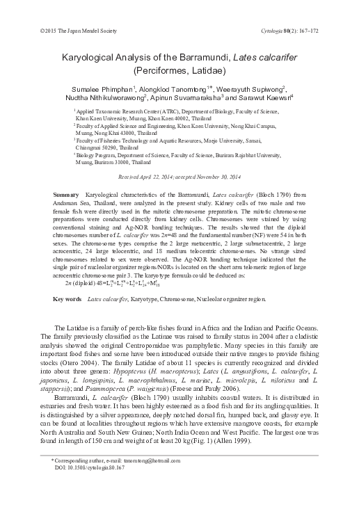 (PDF) Karyological Analysis of the Barramundi, Lates calcarifer ...