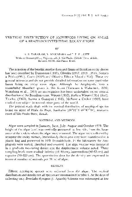 (PDF) Vertical Distribution of Amphipods Living On Algae of a Brazilian ...