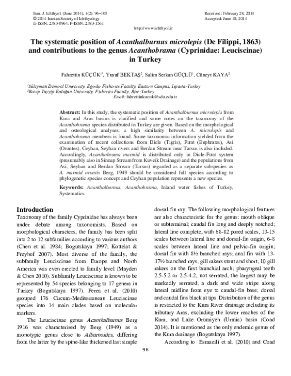 (PDF) The systematic position of Acanthalburnus microlepis (De Filippi ...