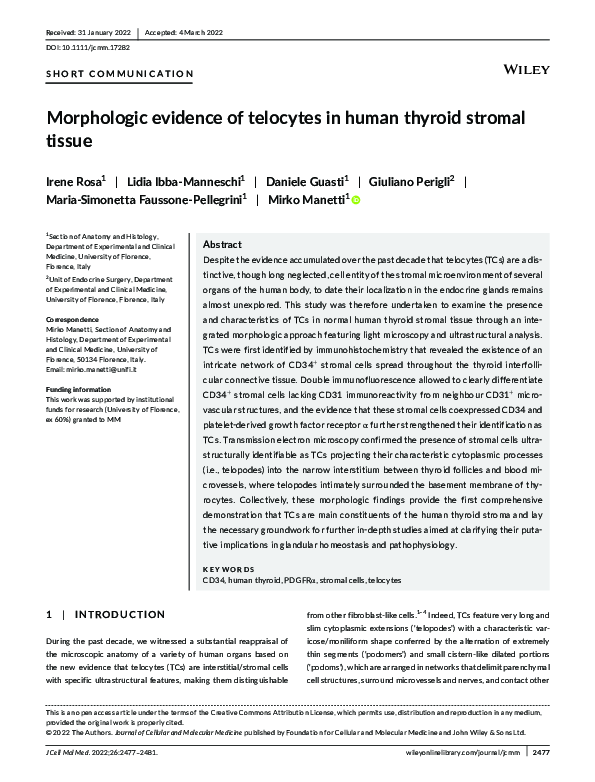 (PDF) Morphologic evidence of telocytes in human thyroid stromal tissue