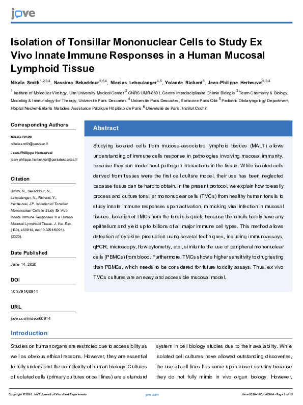 (PDF) Isolation of Tonsillar Mononuclear Cells to Study Ex Vivo Innate ...