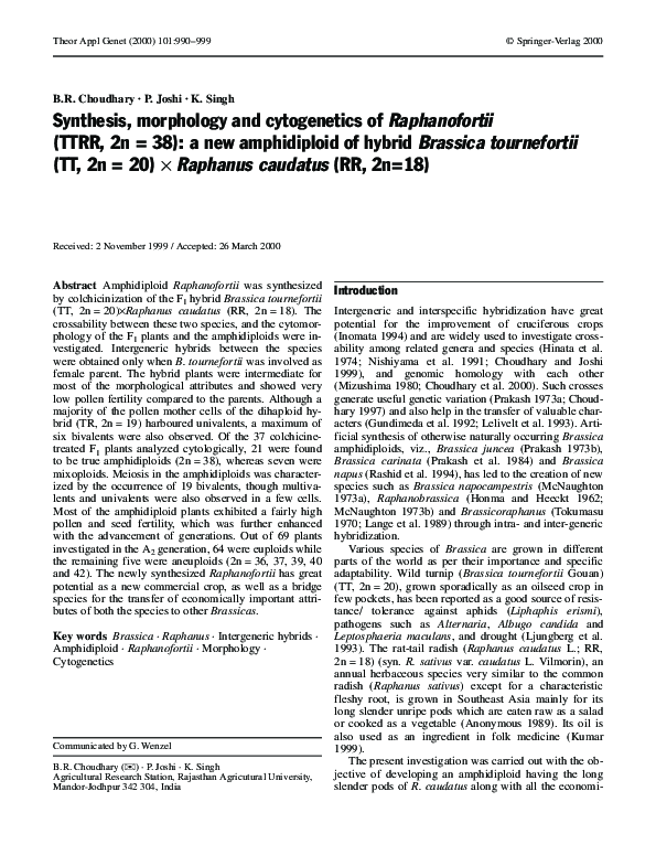 (PDF) Synthesis, morphology and cytogenetics of Raphanofortii (TTRR, 2n ...