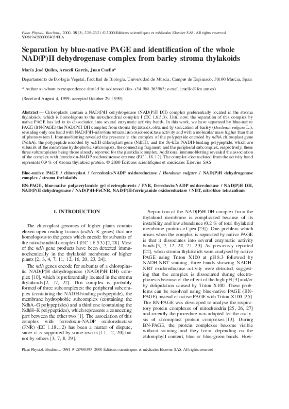 (PDF) Separation by blue-native PAGE and identification of the whole ...