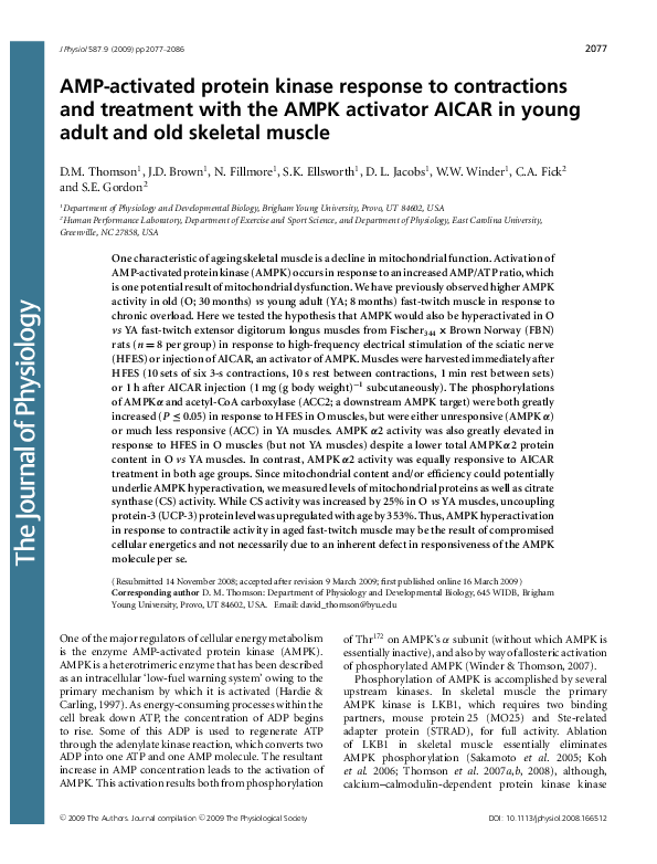 (PDF) AMP-activated protein kinase response to contractions and treatment with the AMPK ...