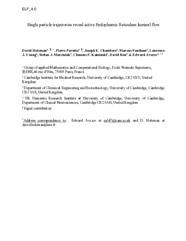 (PDF) Single particle trajectories reveal active endoplasmic reticulum ...
