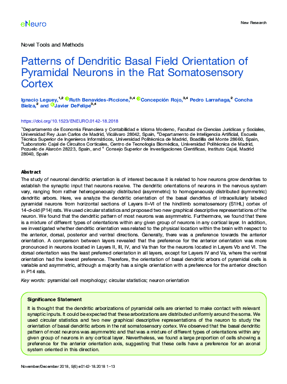 (PDF) Patterns of Dendritic Basal Field Orientation of Pyramidal ...