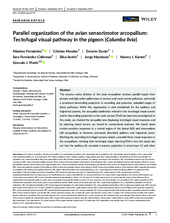 (PDF) Parallel organization of the avian sensorimotor arcopallium ...