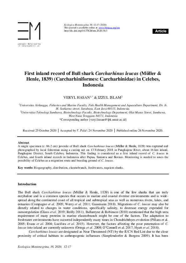 (PDF) First inland record of Bull shark Carcharhinus leucas (Müller ...