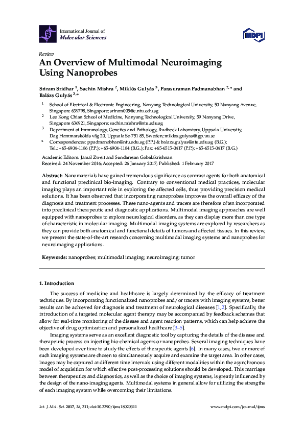 (PDF) An Overview of Multimodal Neuroimaging Using Nanoprobes