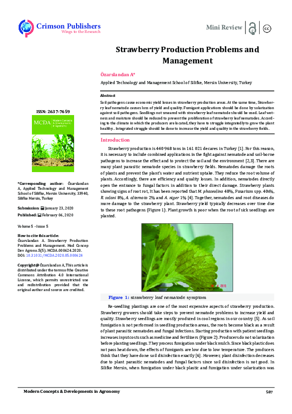 (PDF) Strawberry Production Problems and Management