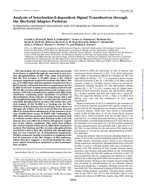 (PDF) Analysis of Interleukin-2-dependent Signal Transduction through ...
