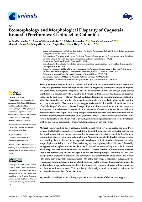 (PDF) Ecomorphology and Morphological Disparity of Caquetaia Kraussii ...