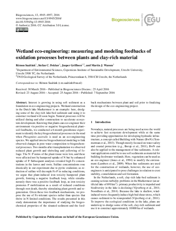 (PDF) Wetland eco-engineering: measuring and modeling feedbacks of ...
