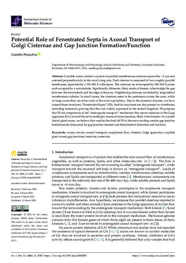 (PDF) Potential Role of Fenestrated Septa in Axonal Transport of Golgi ...