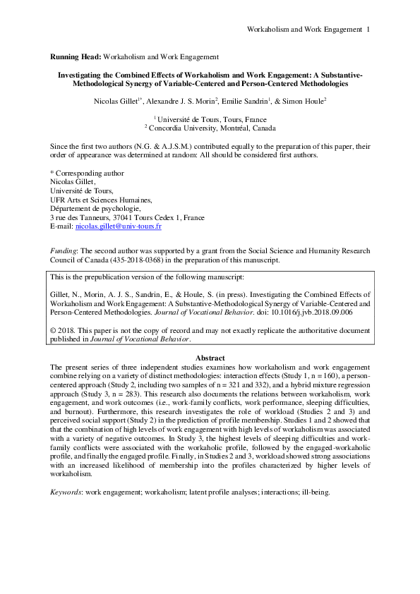 (PDF) Investigating the combined effects of workaholism and work engagement: A substantive ...