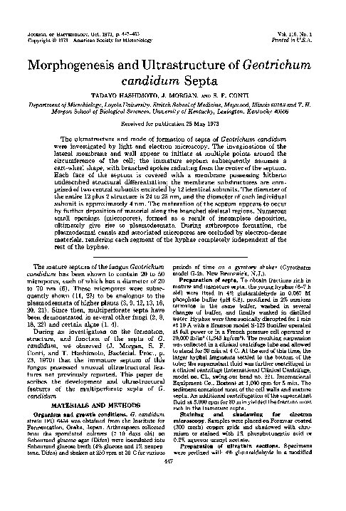 (PDF) Morphogenesis and Ultrastructure of Geotrichum candidum Septa