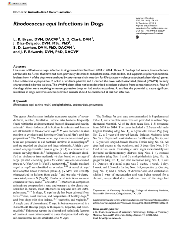 (PDF) Rhodococcus equi Infections in Dogs | Sabrina Clark - Academia.edu