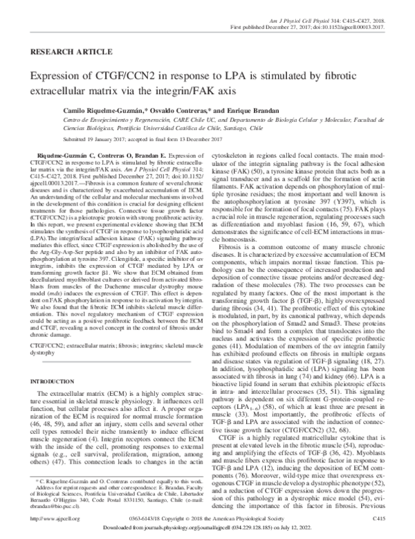 (PDF) ECM Stimulates CTGF via Integrin/FAK in Fibrosis