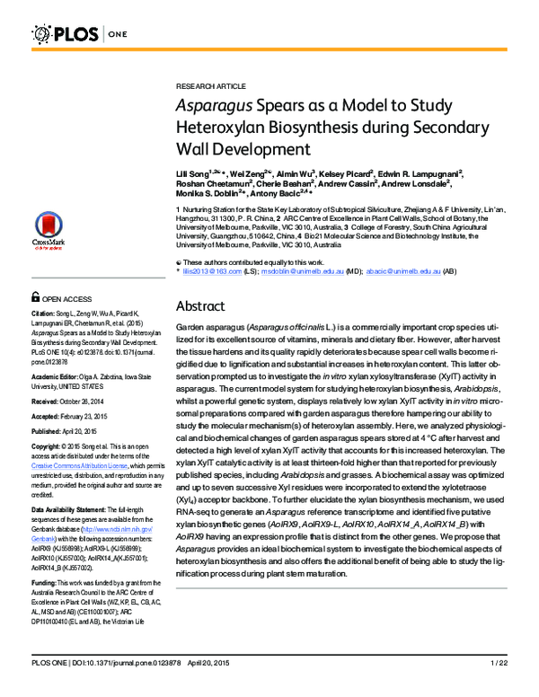 (PDF) Heteroxylan Biosynthesis in Asparagus Spears