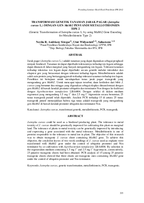 (PDF) Transformasi genetik tanaman jarak pagar (jatropha Curcas l ...