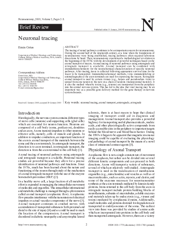(PDF) Neuronal tracing