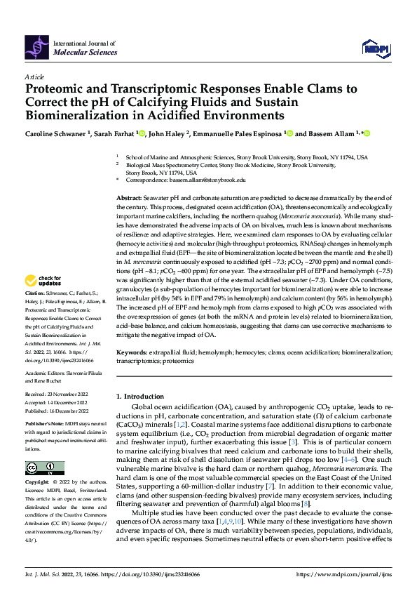 (PDF) Clam Responses to Ocean Acidification