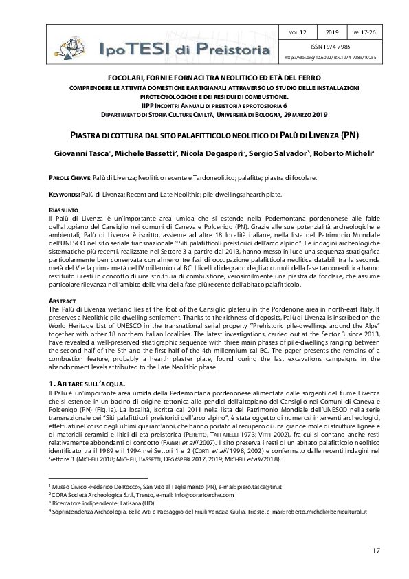 (PDF) Piastra di cottura dal sito palafitticolo di Palù di Livenza ...