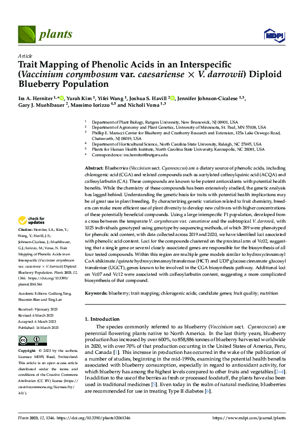 (PDF) Trait Mapping of Phenolic Acids in an Interspecific (Vaccinium corymbosum var. caesariense ...