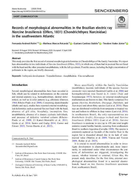 (PDF) Records of morphological abnormalities in the Brazilian electric ...