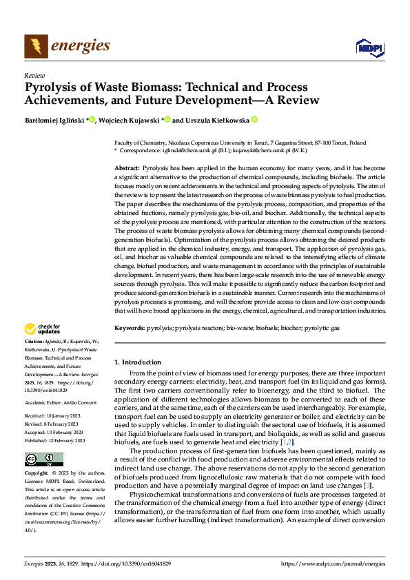 (PDF) Pyrolysis of Waste Biomass: Technical and Process Achievements, and Future Development—A ...