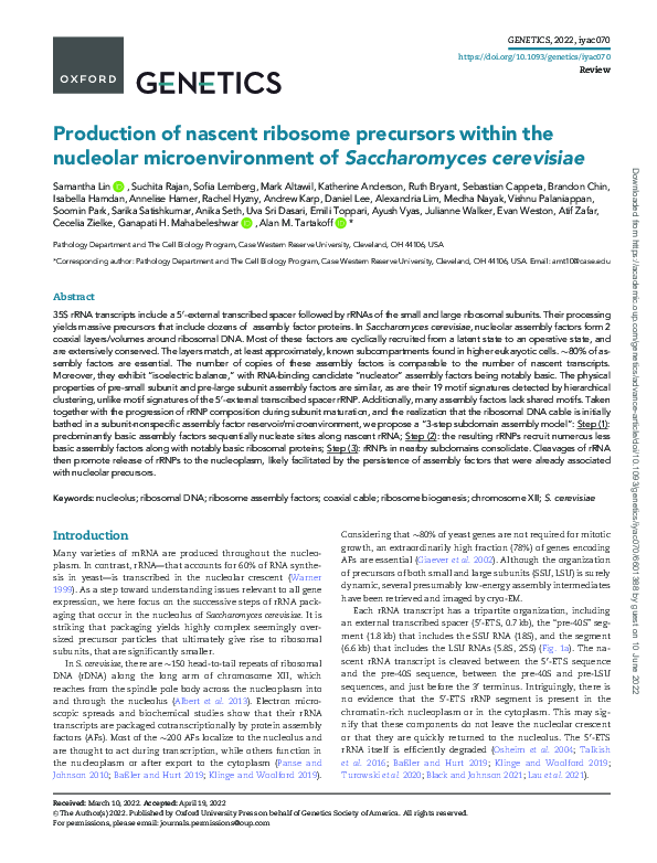 (PDF) Production of nascent ribosome precursors within the nucleolar ...