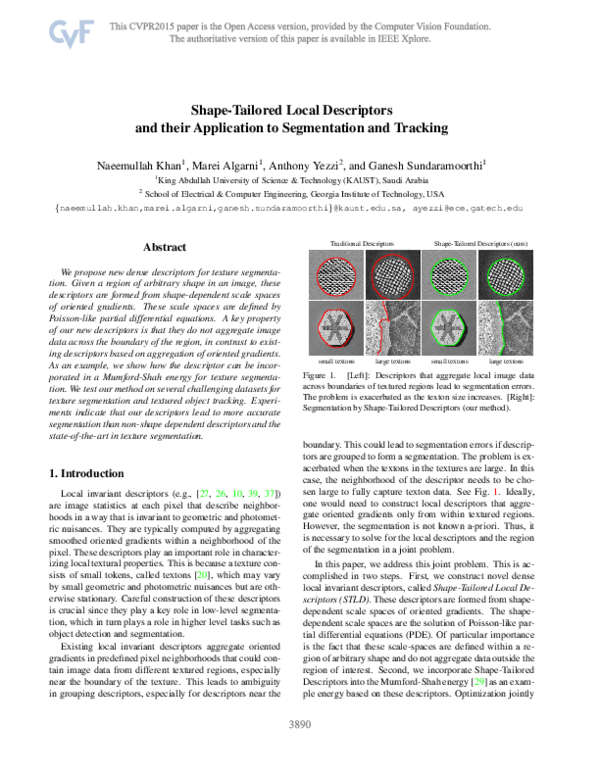 (PDF) Shape-tailored local descriptors and their application to segmentation and tracking