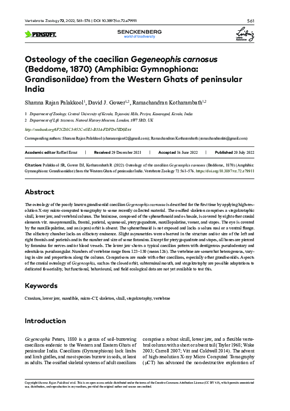 (PDF) Osteology of the caecilian Gegeneophis carnosus (Beddome, 1870 ...