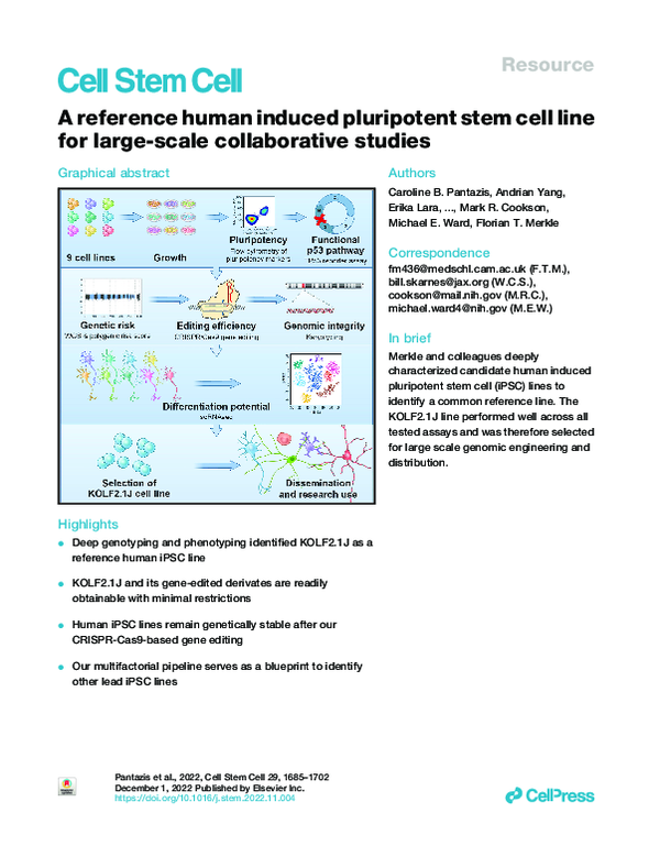 (PDF) A reference human induced pluripotent stem cell line for large-scale collaborative studies