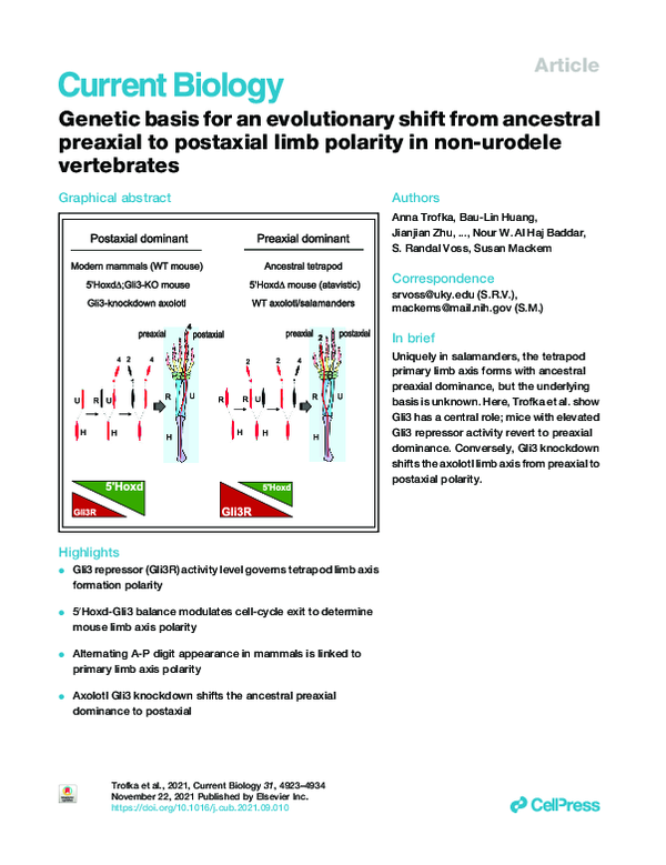 (PDF) Genetic basis for an evolutionary shift from ancestral preaxial ...