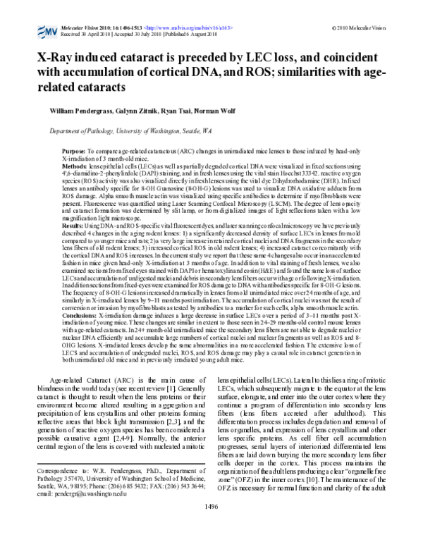 (PDF) X-ray induced cataract is preceded by LEC loss, and coincident ...
