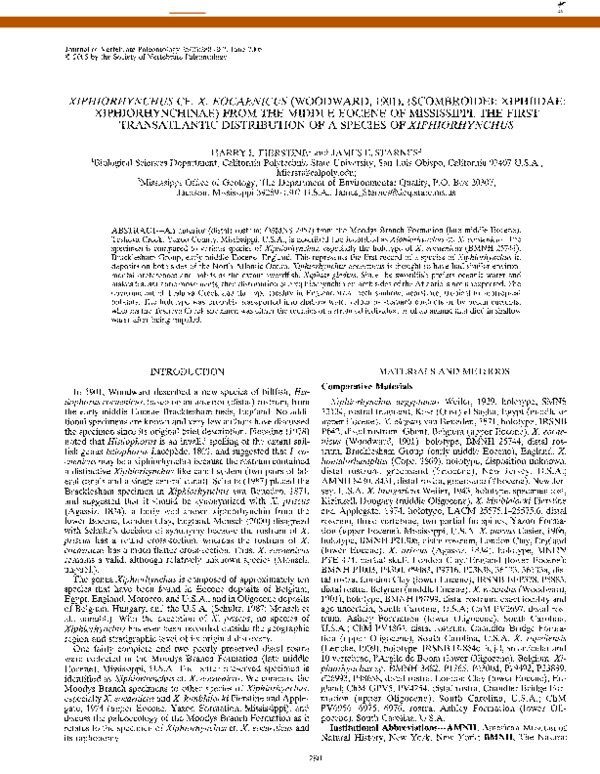 (PDF) Xiphiorhynchus cf. X. eocaenicus (Woodward, 1901), (Scombroidei ...