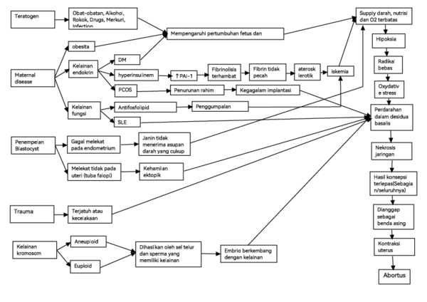 (PDF) Patofisiologi abortus