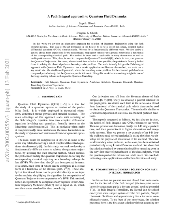 (PDF) A Path Integral approach to Quantum Fluid Dynamics