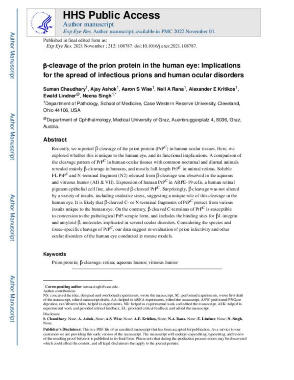 (PDF) β-Cleavage of the prion protein in the human eye: Implications ...