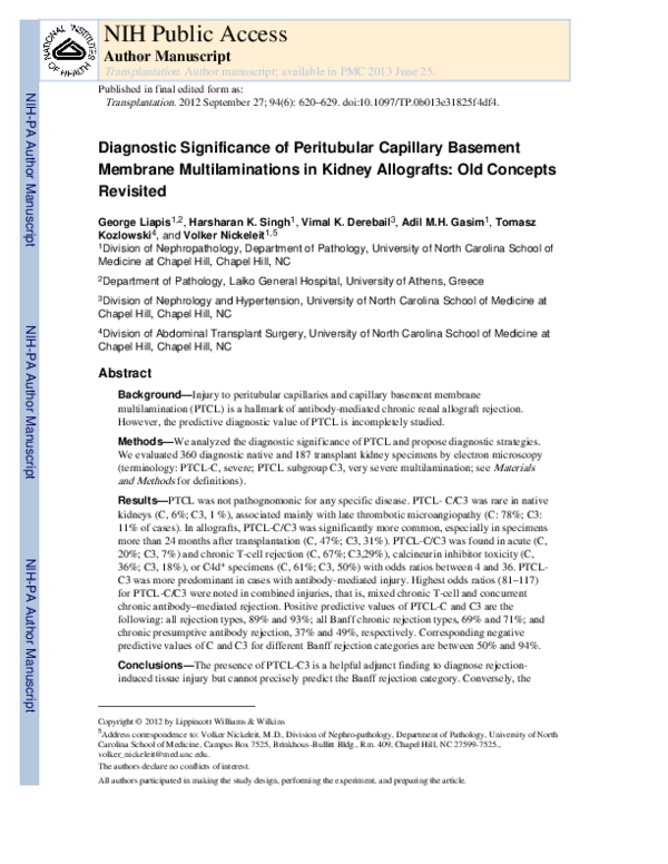 (PDF) Diagnostic Significance of Peritubular Capillary Basement ...