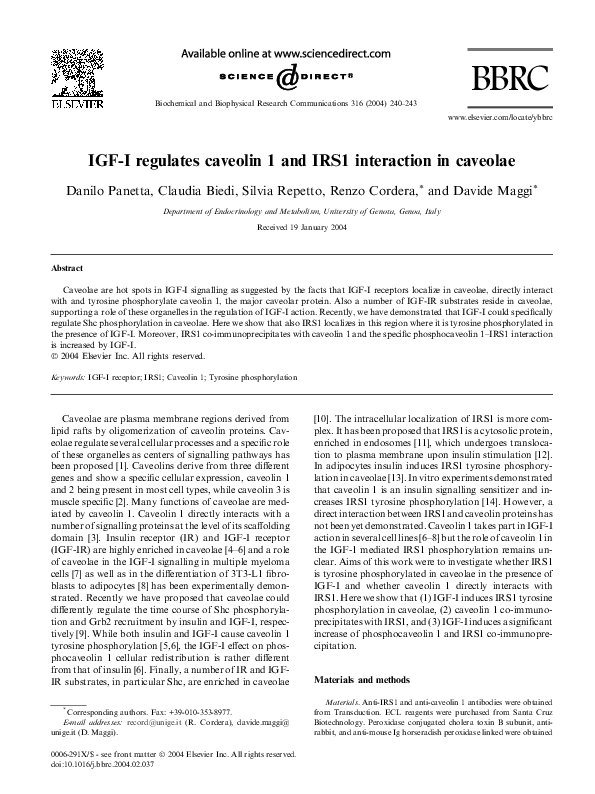 (PDF) IGF-I regulates caveolin 1 and IRS1 interaction in caveolae ...